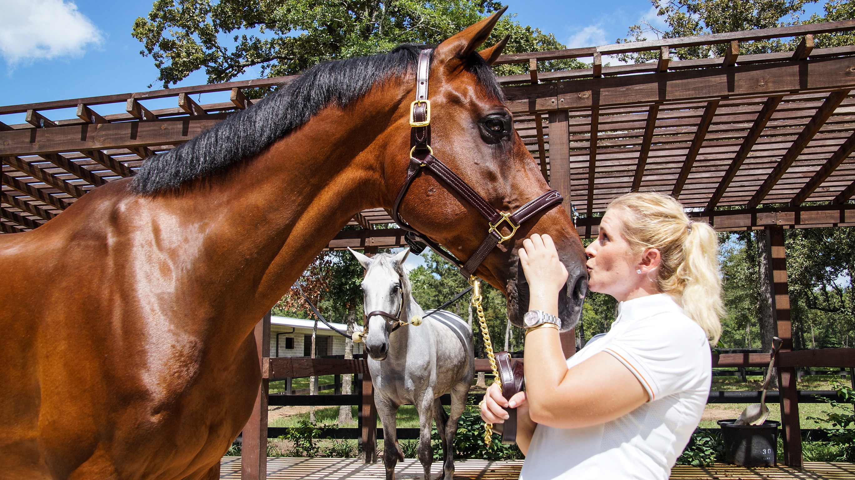 The Polished Rider – Stay Polished, Be Polished